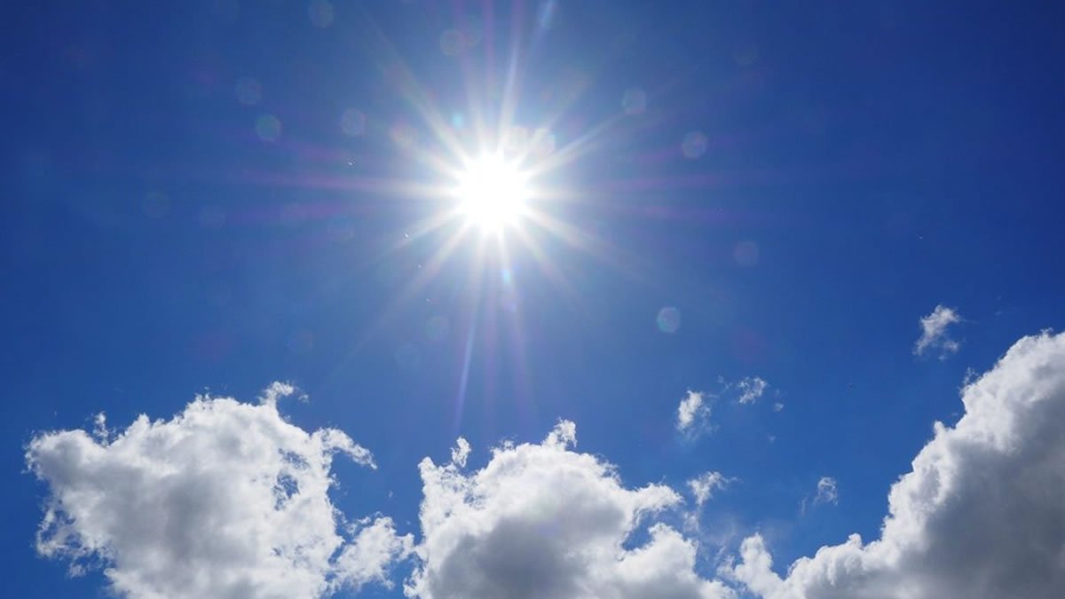 Website bokep indonesia honestly simple screening plus a