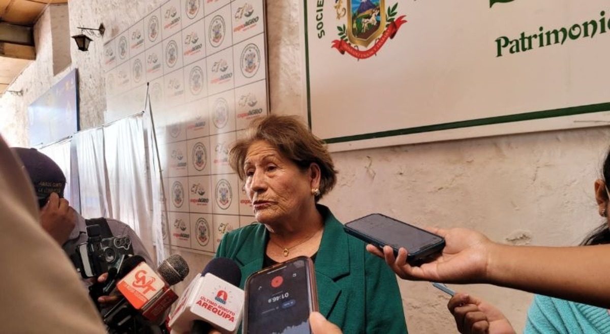 Arequipa: La precariedad en la que viven 60 asentamientos humanos del ...