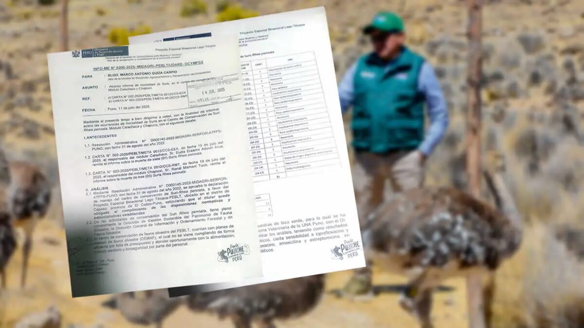 21 suris mueren en centros del PEBLT y levanta la duda sobre malos ...